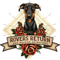 Services – ROVERS RETURN ~ Dog Walking Adventures